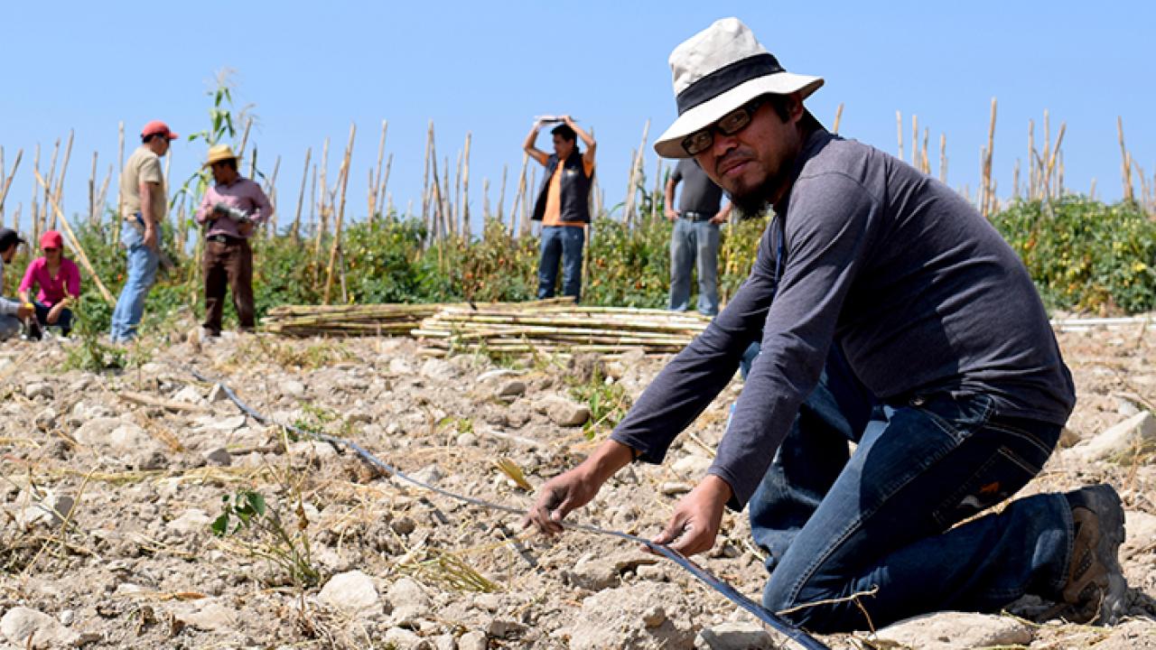 drip irrigation farmer