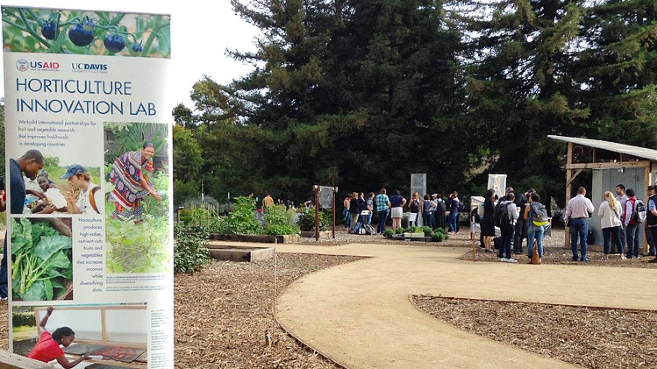 What’s growing at the Horticulture Innovation Lab Demonstration Center ...