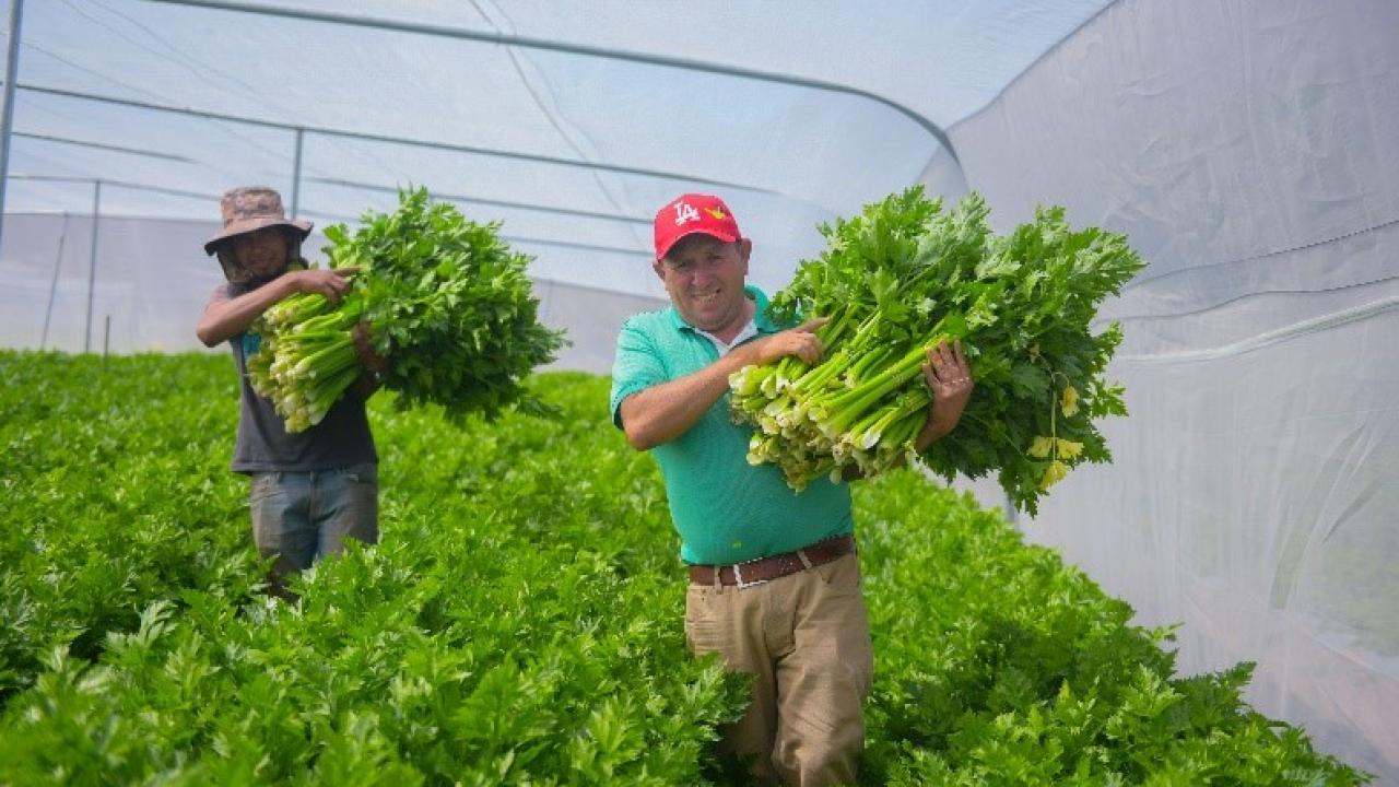 2024 Feed the Future Innovation Lab for Horticulture Annual Meeting ...